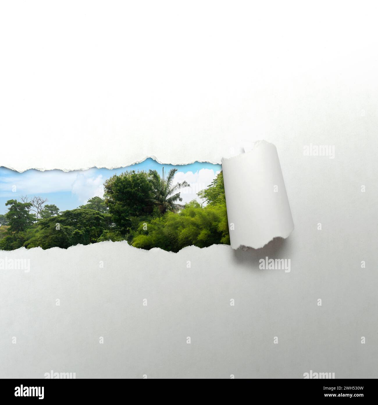 Ripped paper with an outdoor view. Leave the comfort zone. Concept of ...