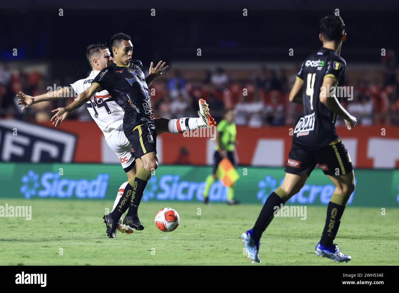 Sao Paulo, Brazil. 07th Feb, 2024. SP - SAO PAULO - 02/07/2024 - PAULISTA 2024, SAO PAULO (Photo ...
