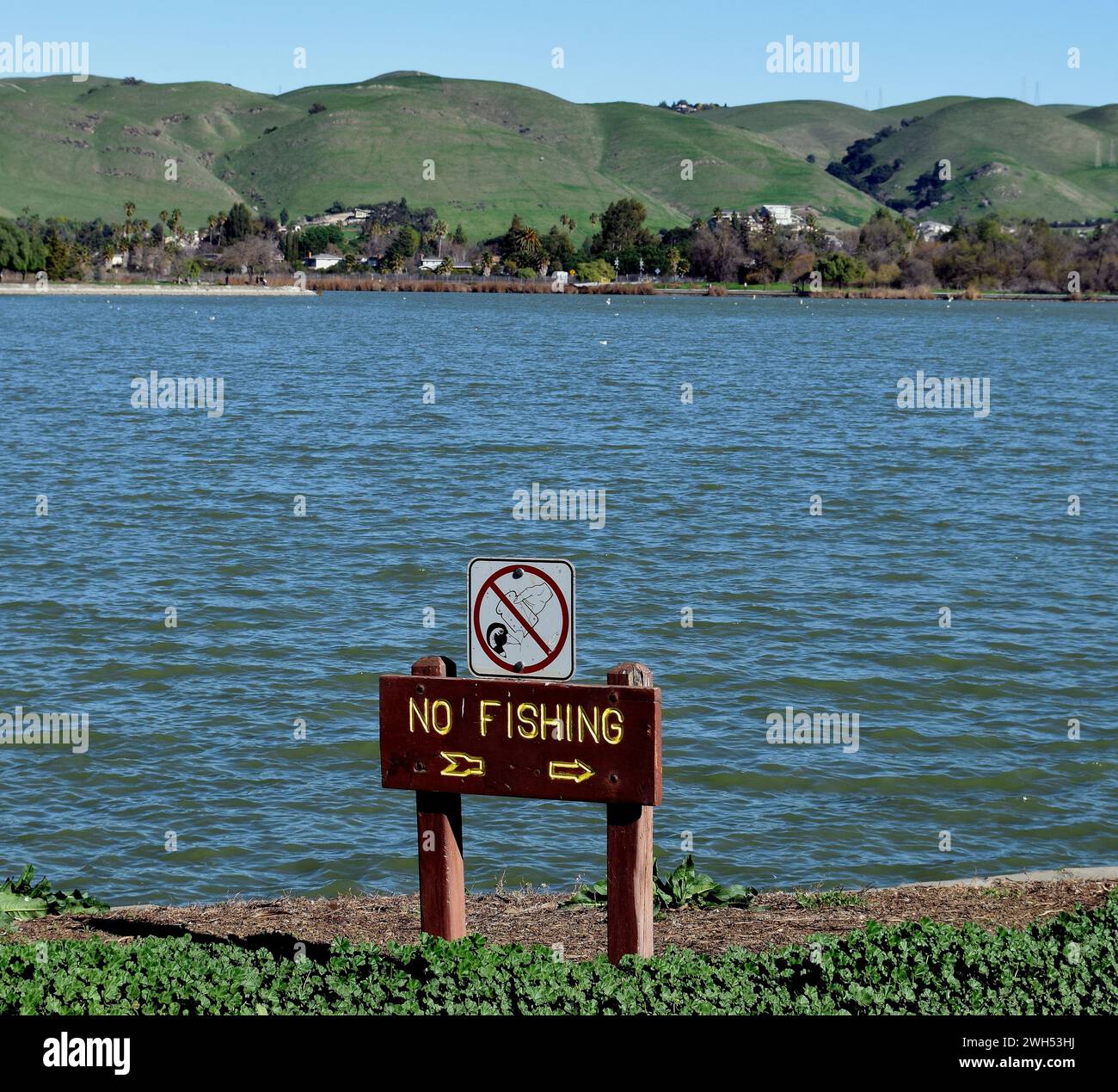 no fishing and no feeding birds signs at Lake Elizabeth park in Fremont ...