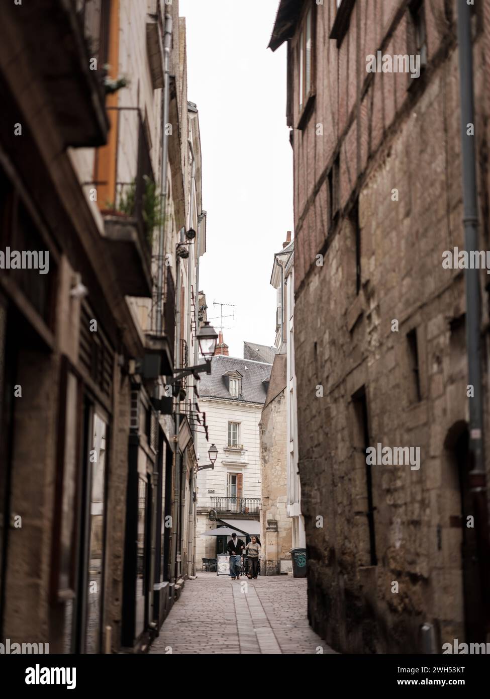 Located in the Loire Valley, Tours is renowned for its history ...