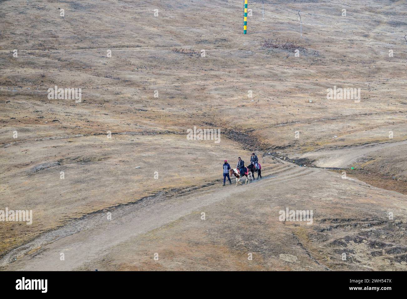 FILE - Tourists ride on horses on a grassy, snowless slope in Gulmarg ...
