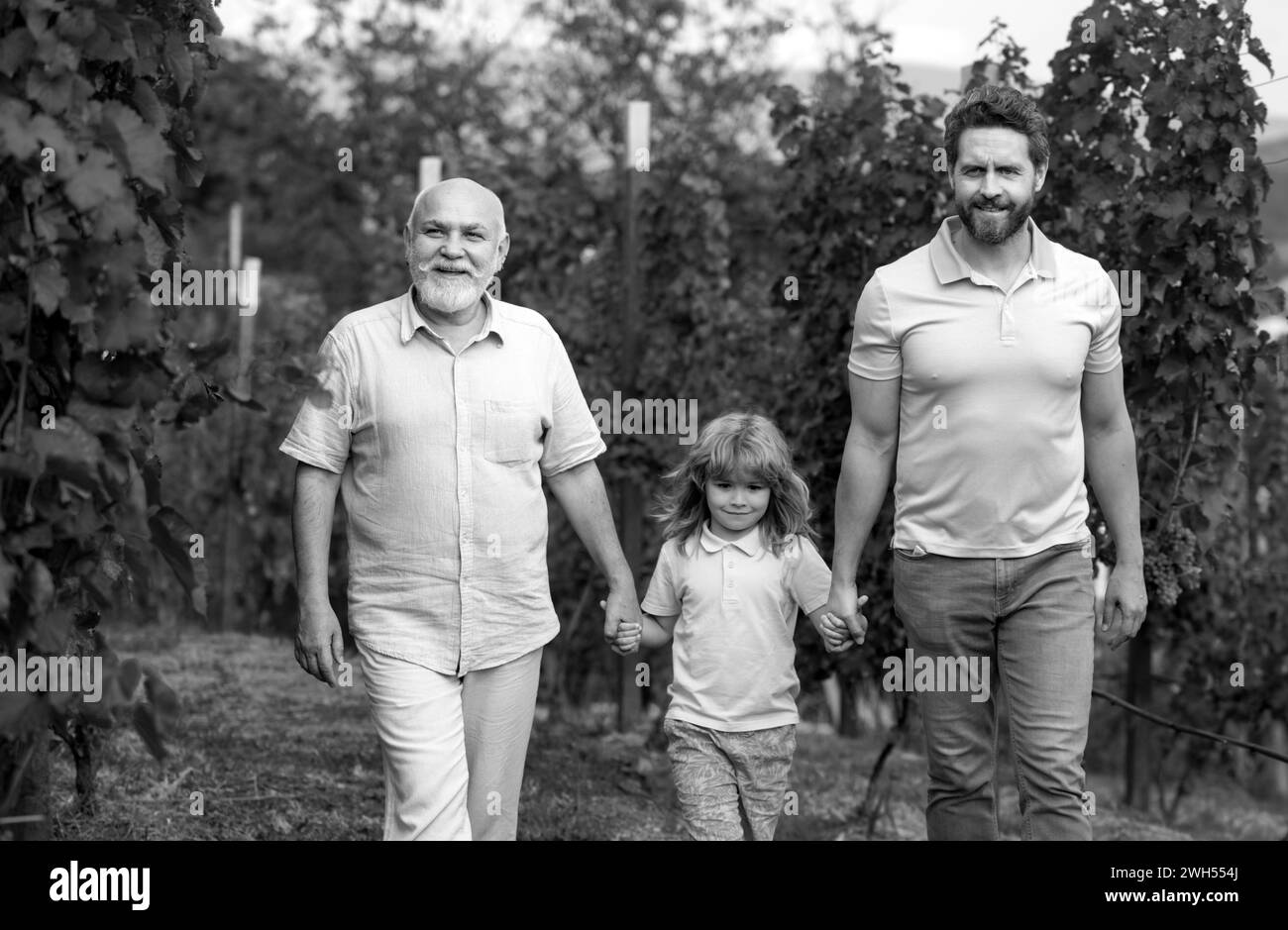 Male generation family together with three different generations ages ...