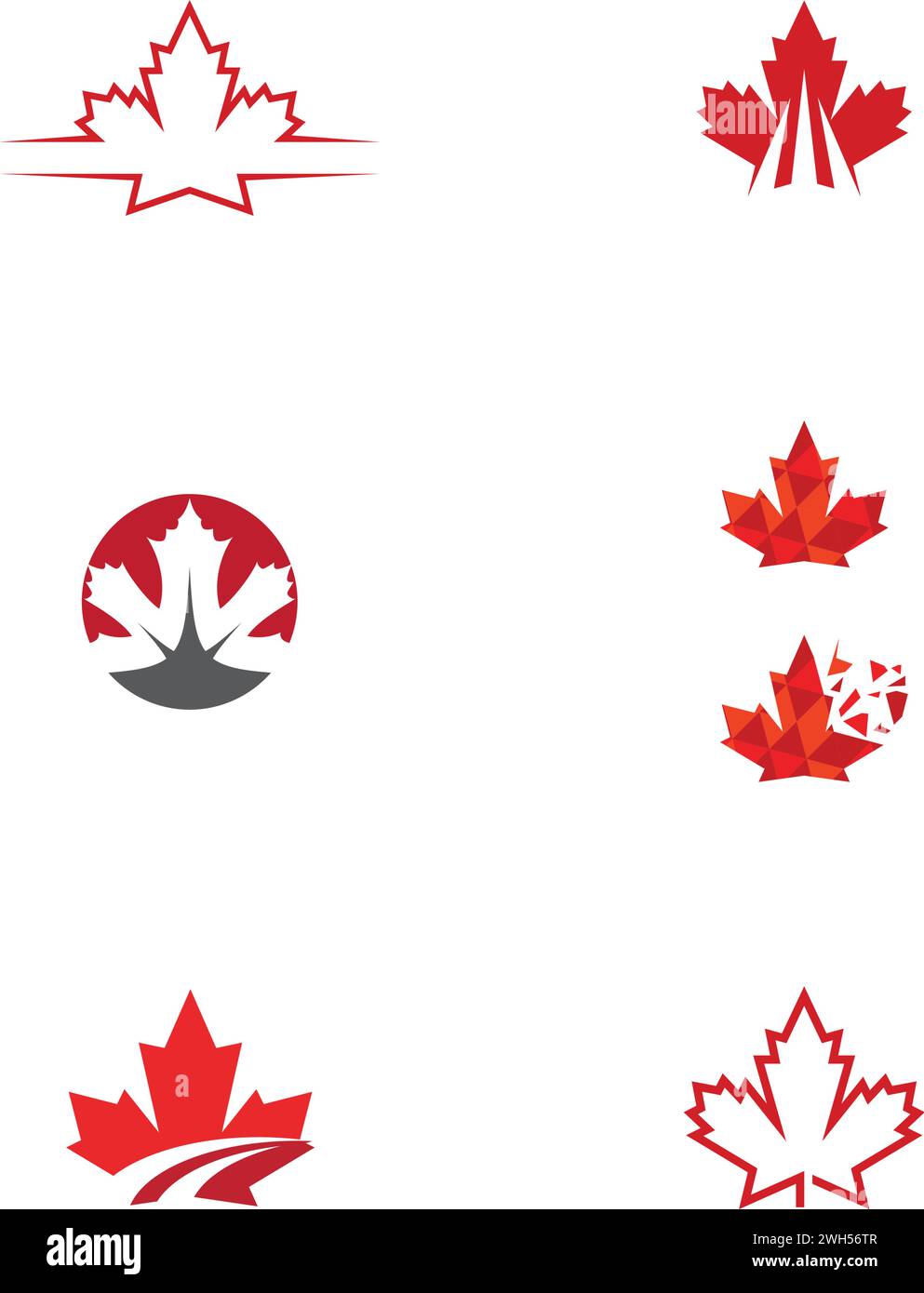 Orange watercolor maple leaf Stock Vector Images - Alamy