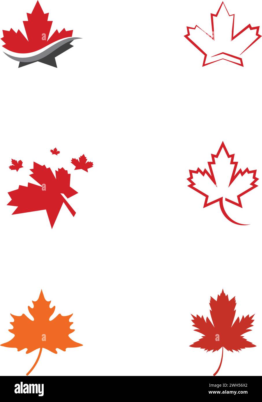 Maple leaf simple vector Cut Out Stock Images & Pictures - Alamy