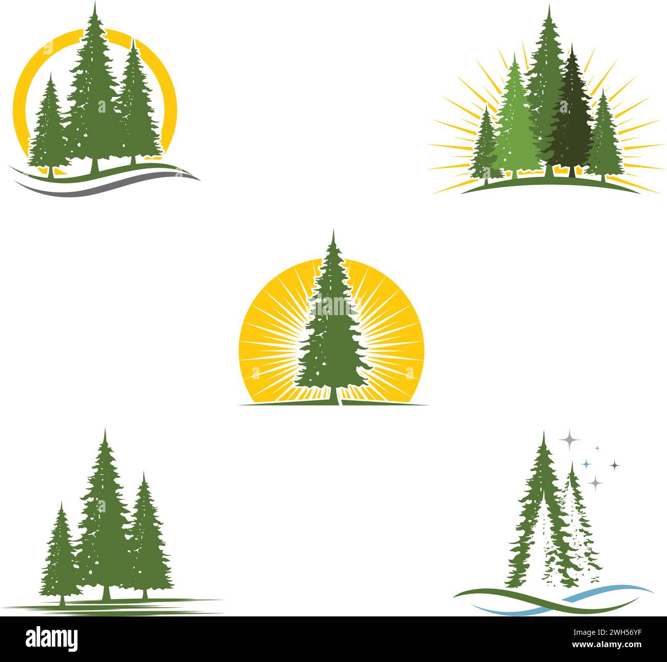 Cedar wood oil Stock Vector Images - Alamy