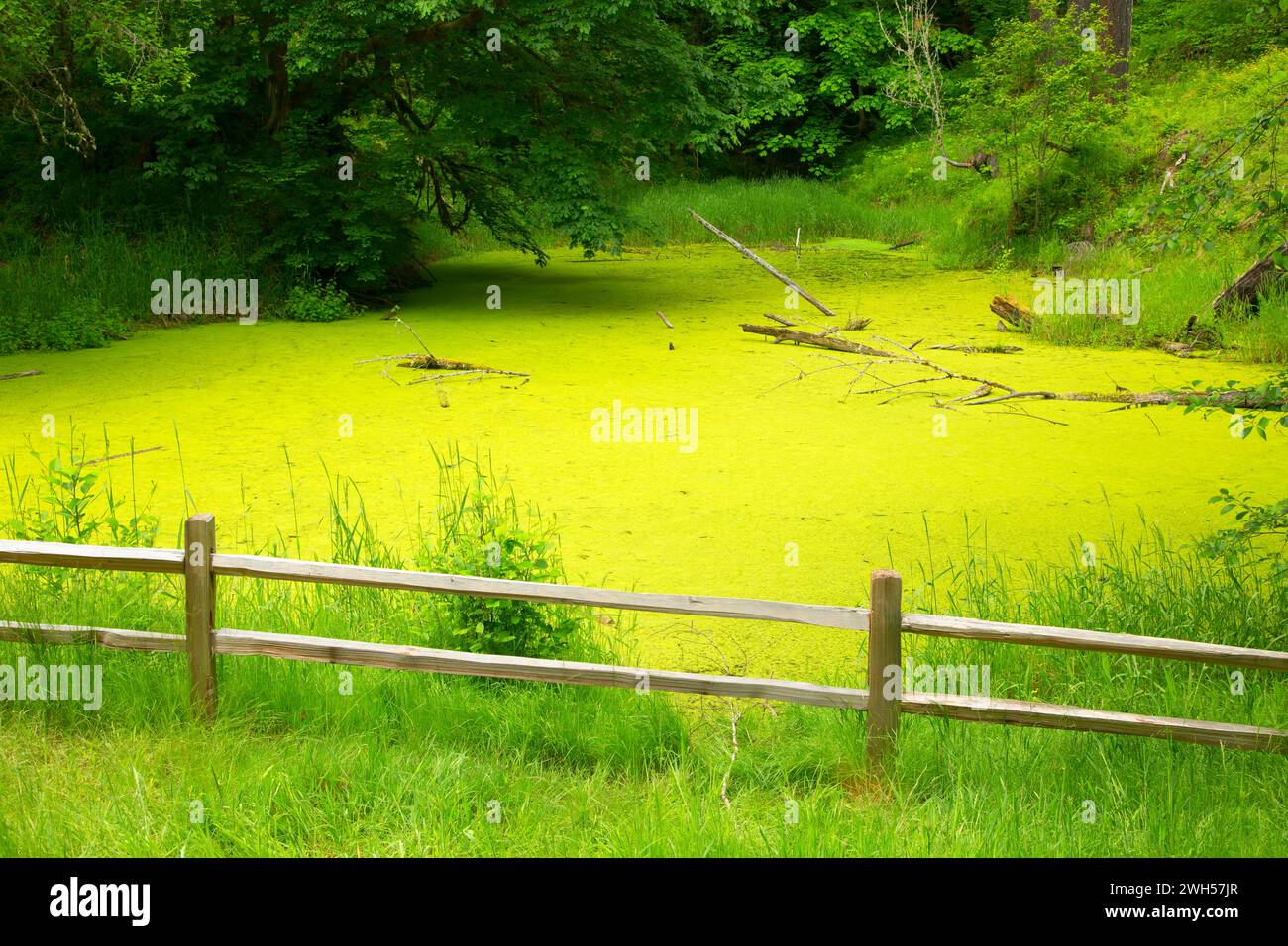 The beaver state hi-res stock photography and images - Alamy