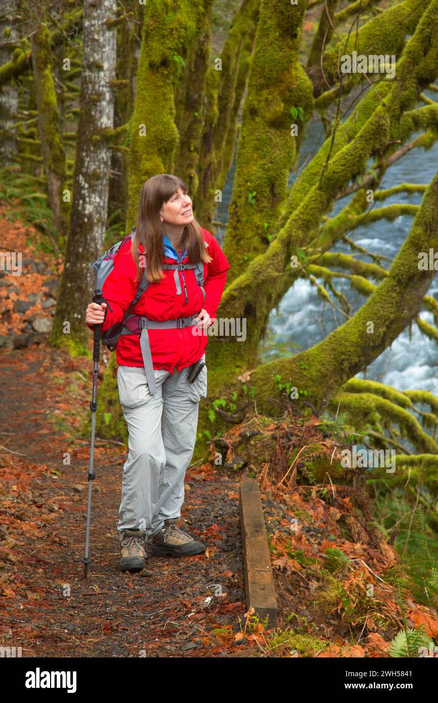 Tillamook state forest wilson river hi-res stock photography and images ...