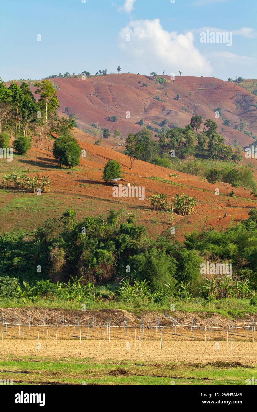 Deforestation are the anthropogenic source of atmospheric carbon ...