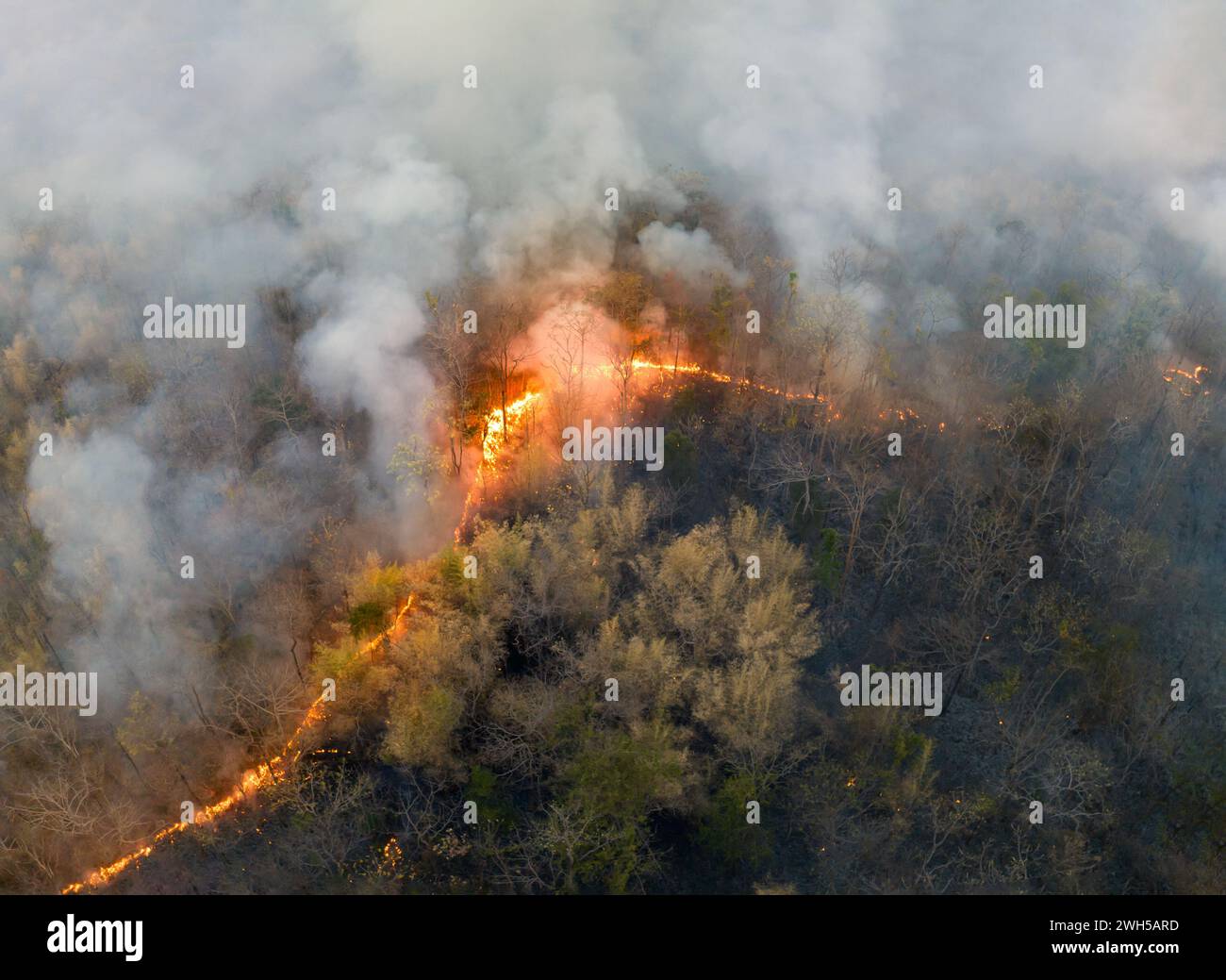 Wildfires release carbon dioxide (CO2) emissions and other greenhouse ...