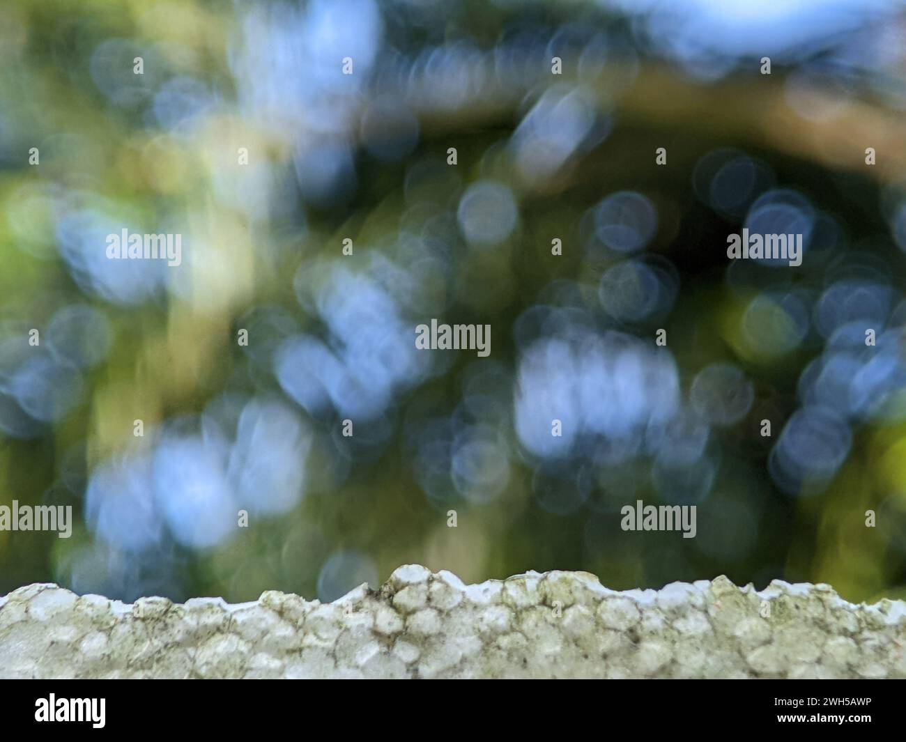 Closeup white polystyrene with blurry background. Can be used as a ...