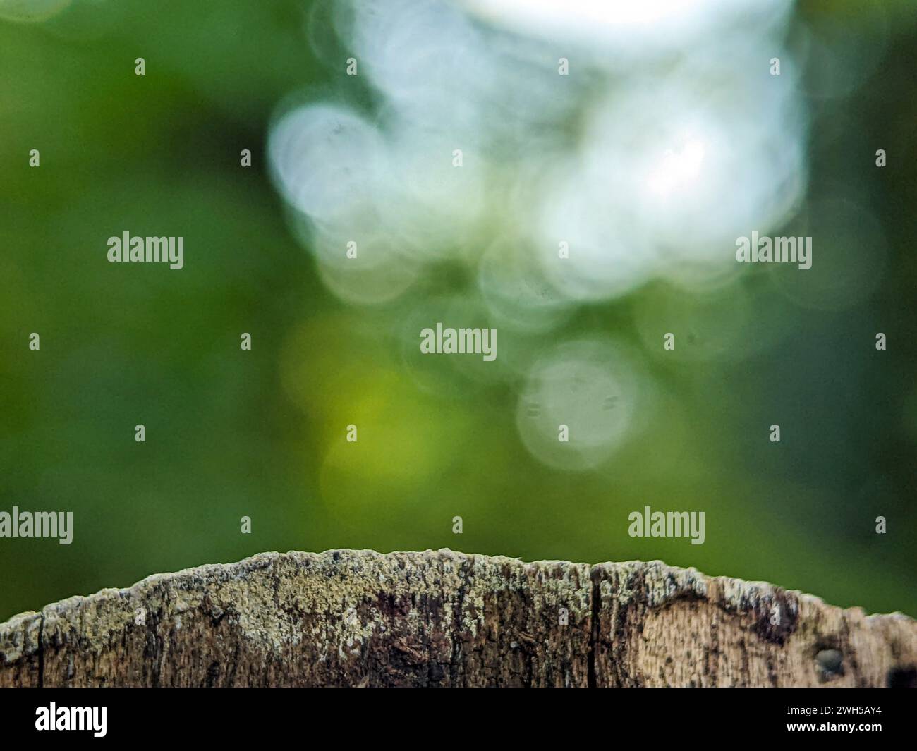 Old wooden writing trunk hi-res stock photography and images - Alamy