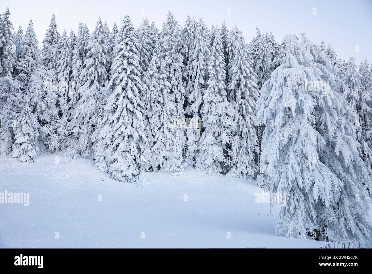 Snow landscape in Switzerland Stock Photo - Alamy