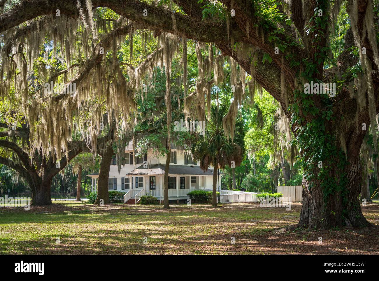 African american south carolina school hi-res stock photography and ...