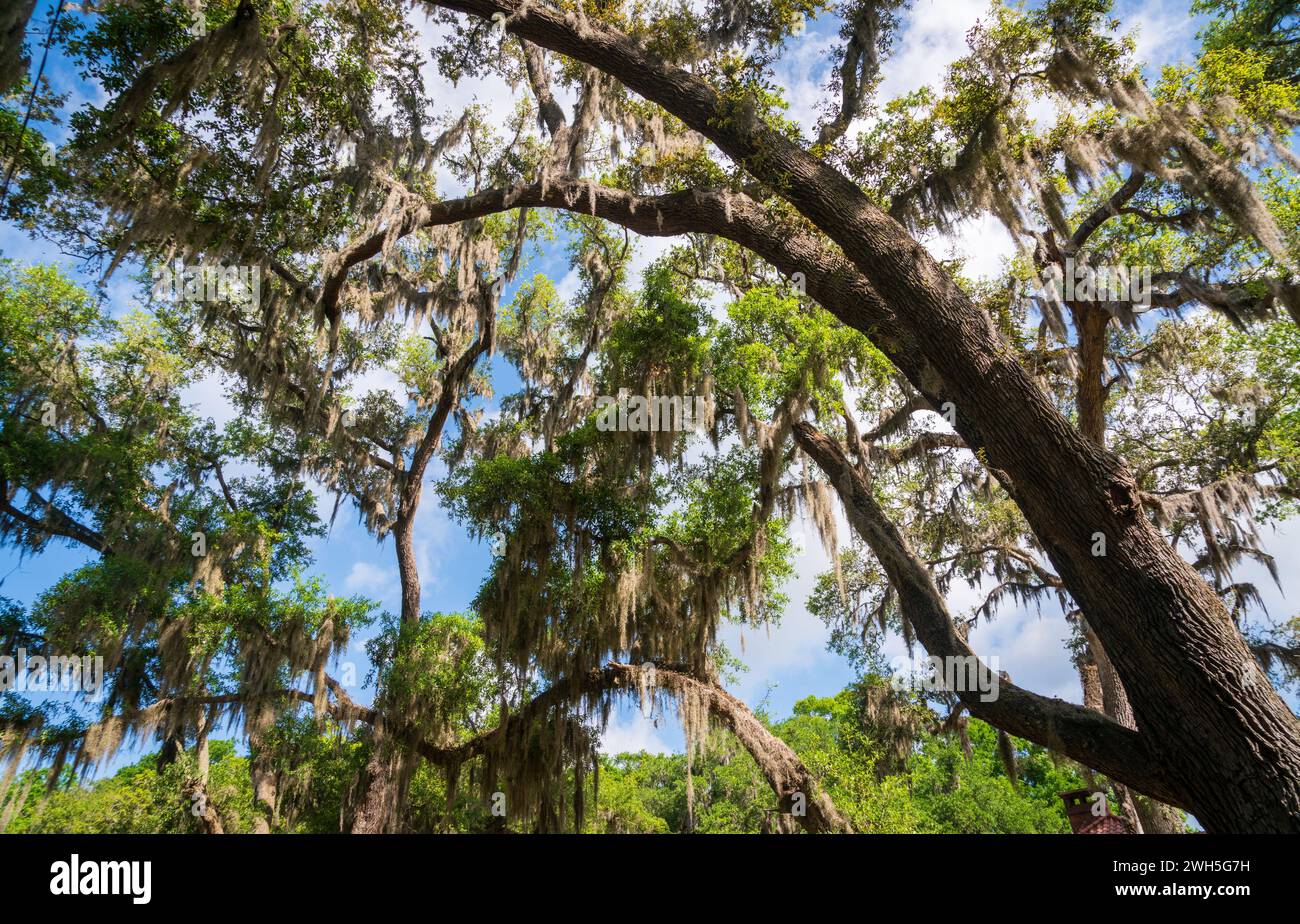 The Penn Center, Penn School, African-American cultural and educational ...
