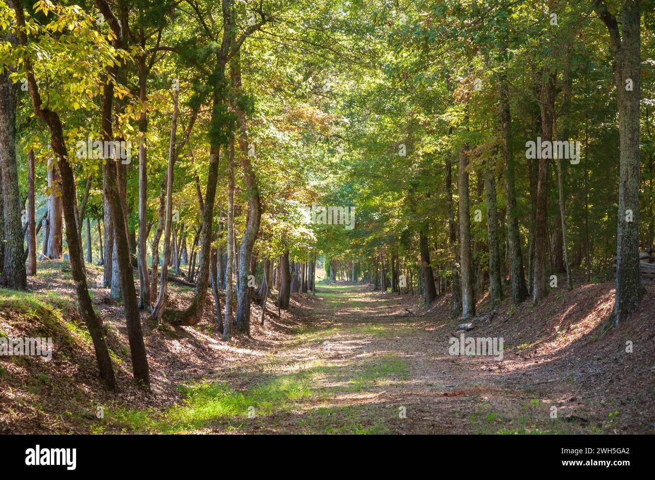 Ninety Six National Historic Site, Old Ninety Six and Star Fort in ...