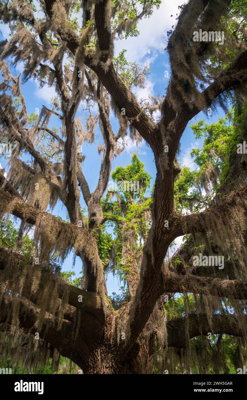 The Penn Center, Penn School, African-American cultural and educational ...