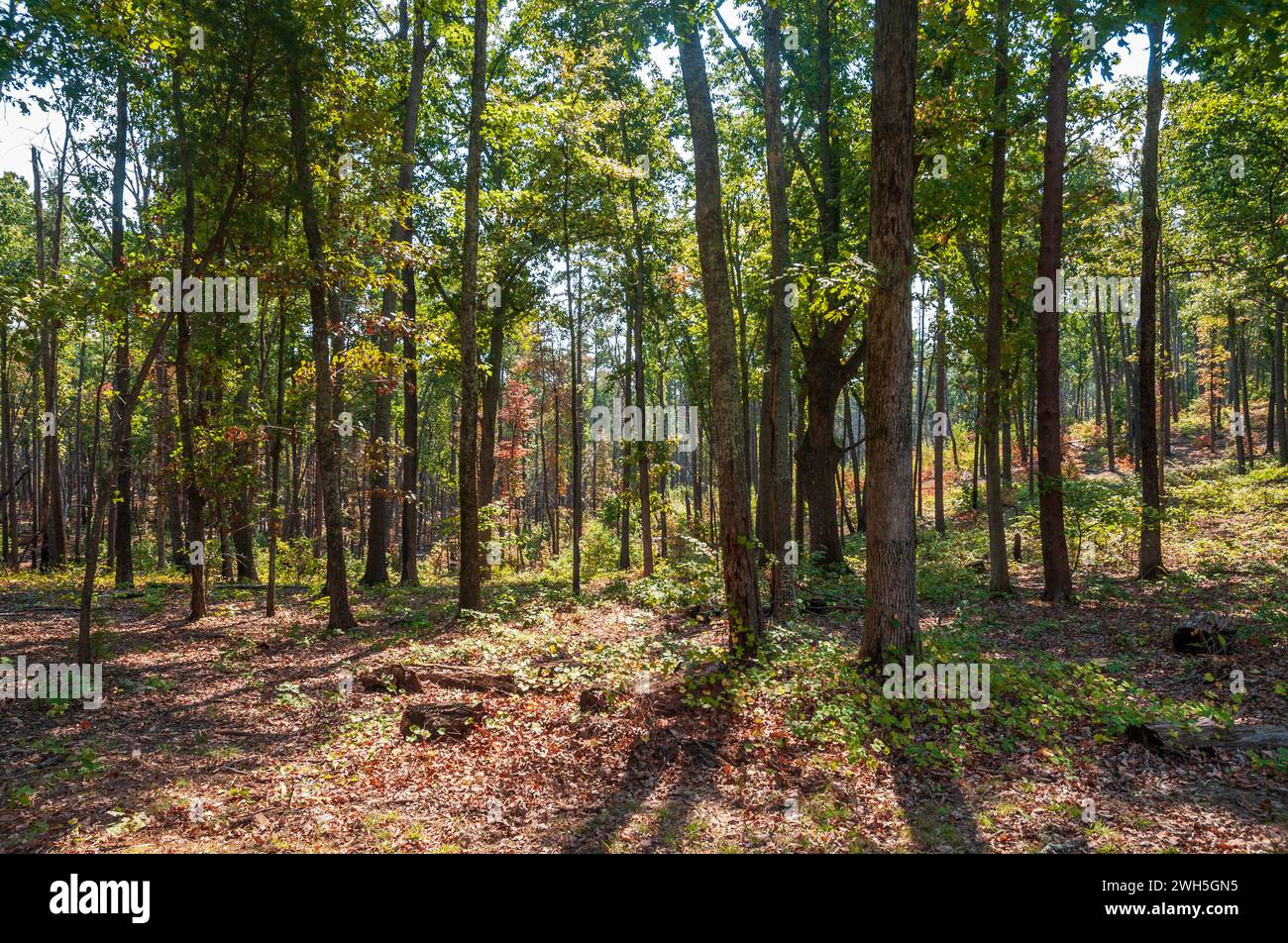 Battlefield of kings mountain hi-res stock photography and images - Alamy