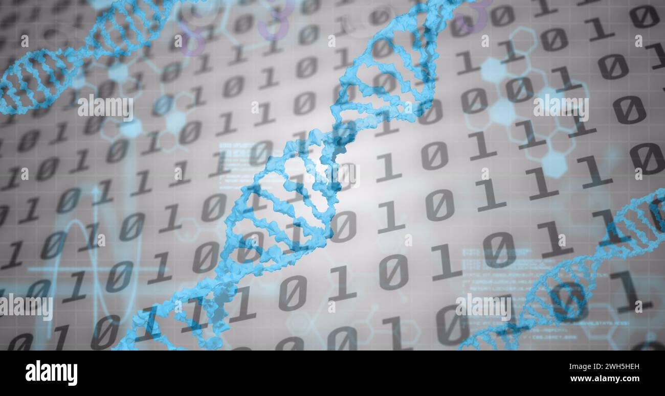 Image of medical data processing over white background Stock Photo - Alamy