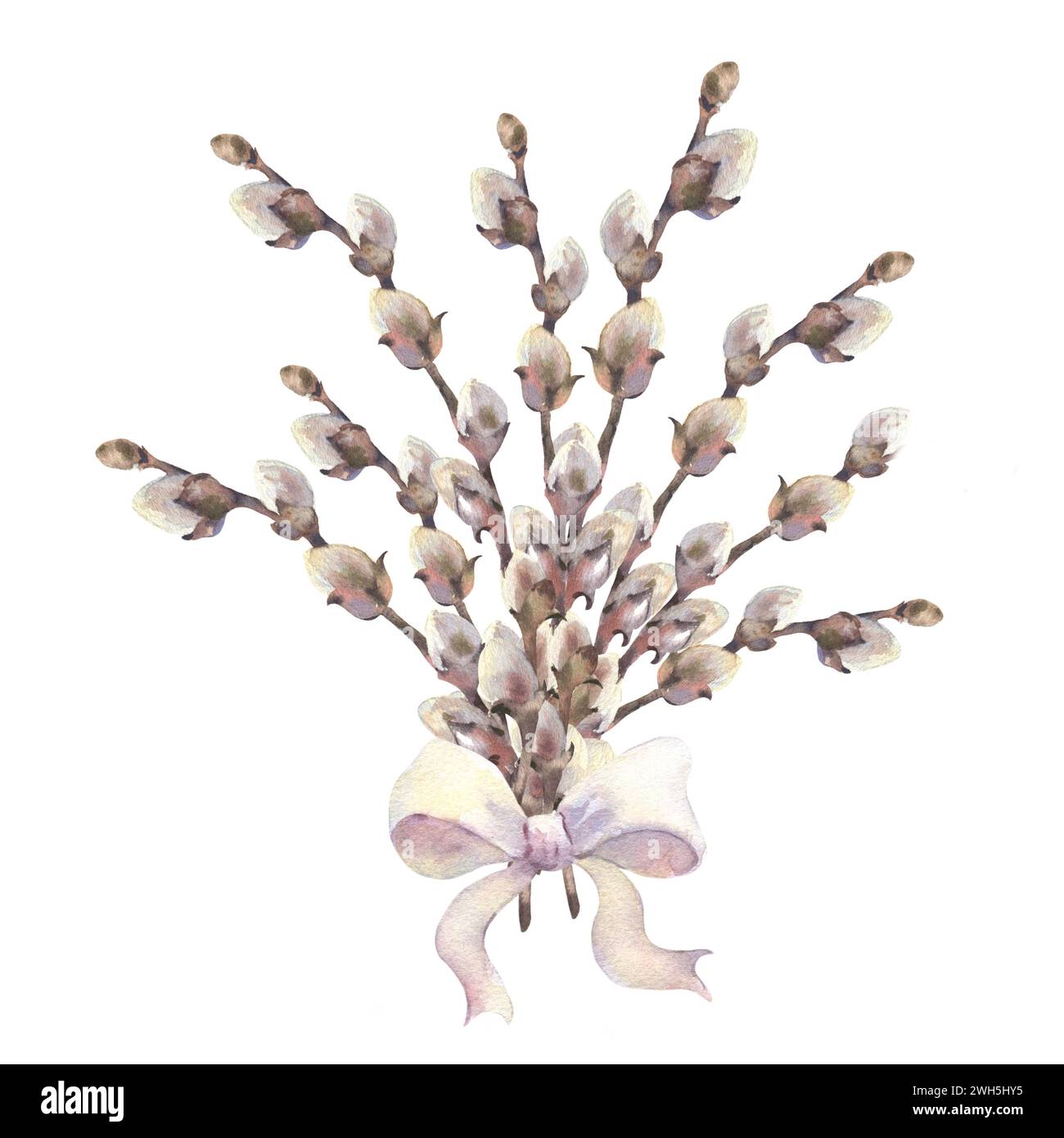 Watercolor Easter willow bouquet. Hand painted willow branch isolated ...