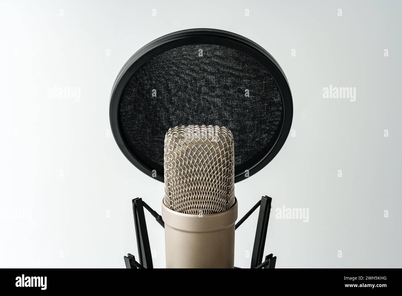 Professional studio microphone on the white background Stock Photo - Alamy