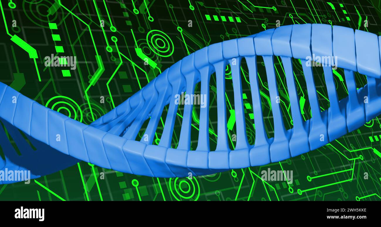 Image of dna strand over network of connections Stock Photo - Alamy