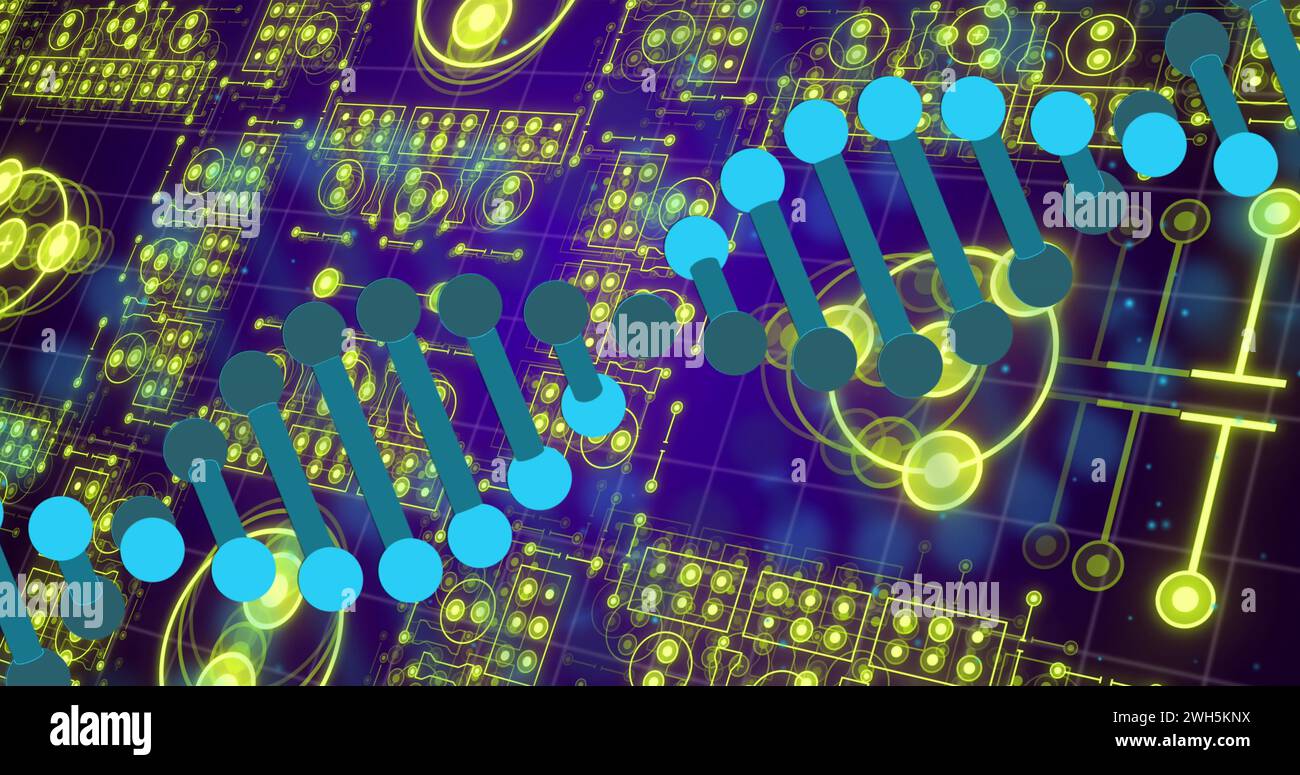 Image of dna strand over shapes and spots Stock Photo - Alamy