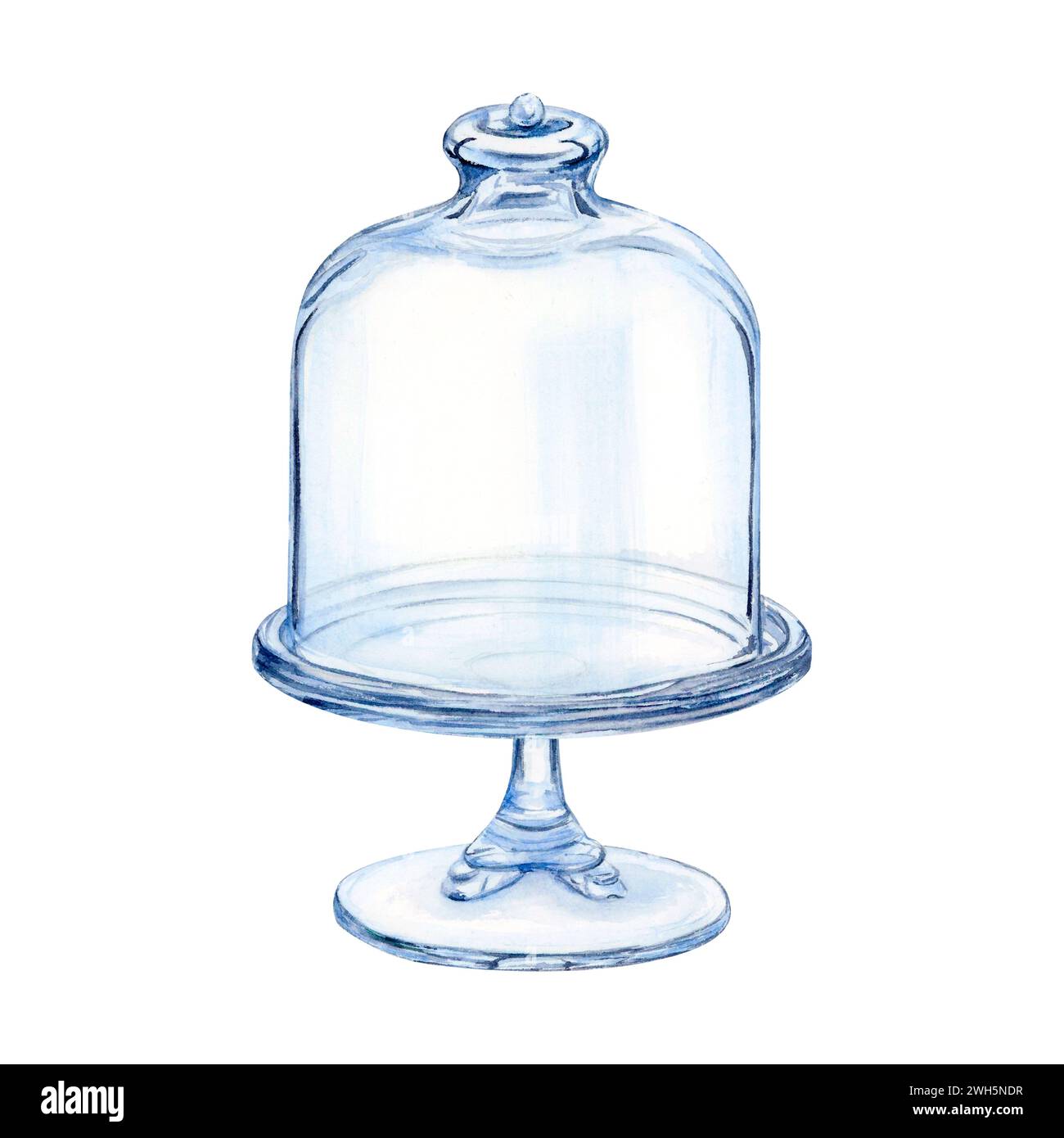 Cloche glass cake stand watercolor drawing dome. Glassware dish tray ...