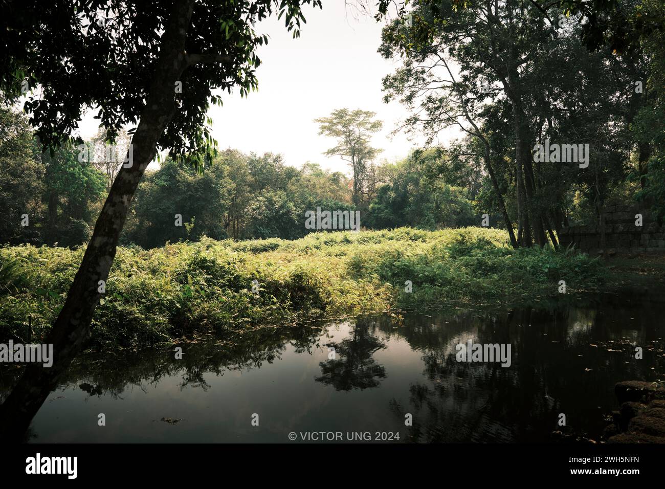 Green scenery at Koh Ker Pyramid Cambodia Stock Photo - Alamy