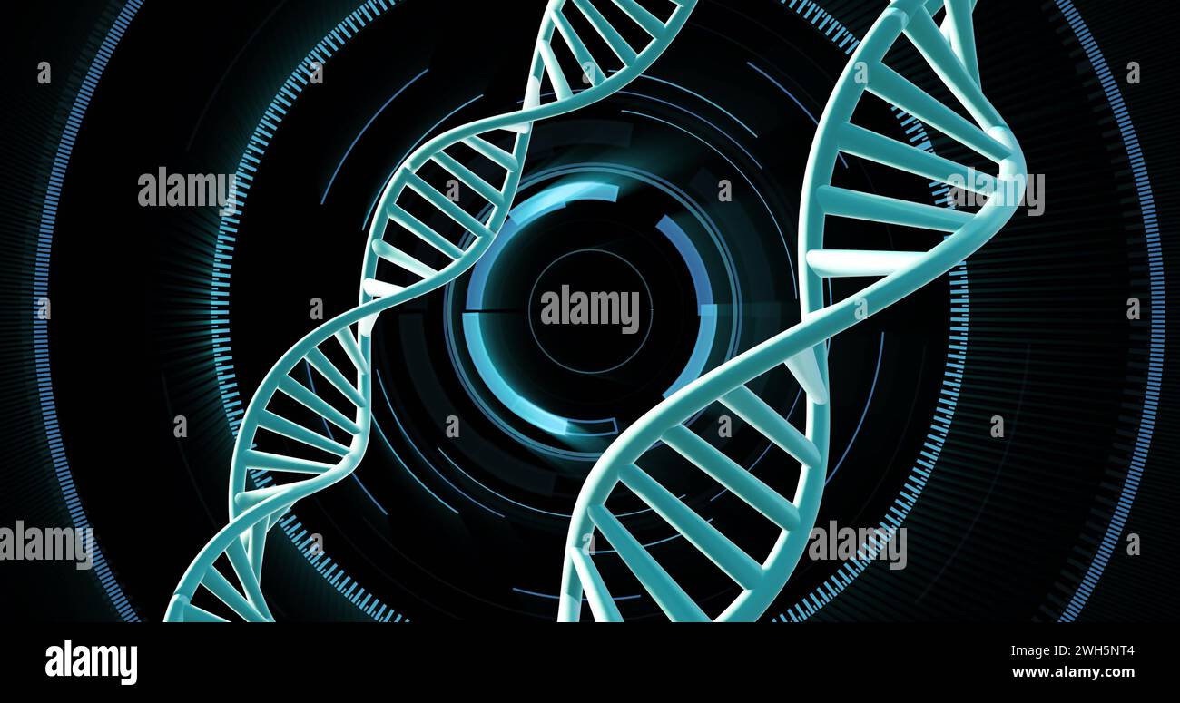 Image of dna strands spinning with data processing over black background Stock Photo - Alamy