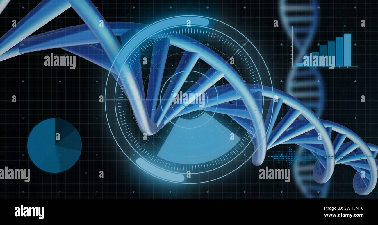 Image of dna strands spinning with data processing over black background Stock Photo - Alamy