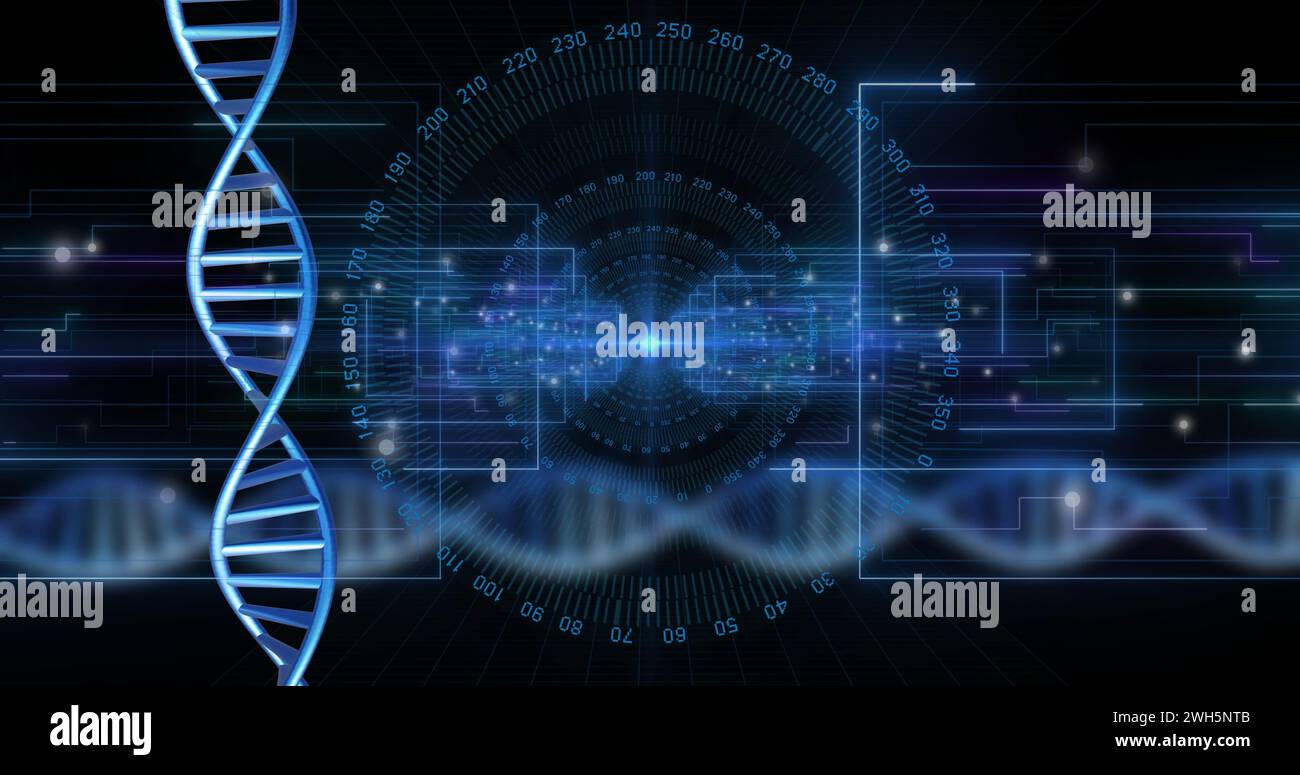 Image of dna strand spinning with data processing over black background ...