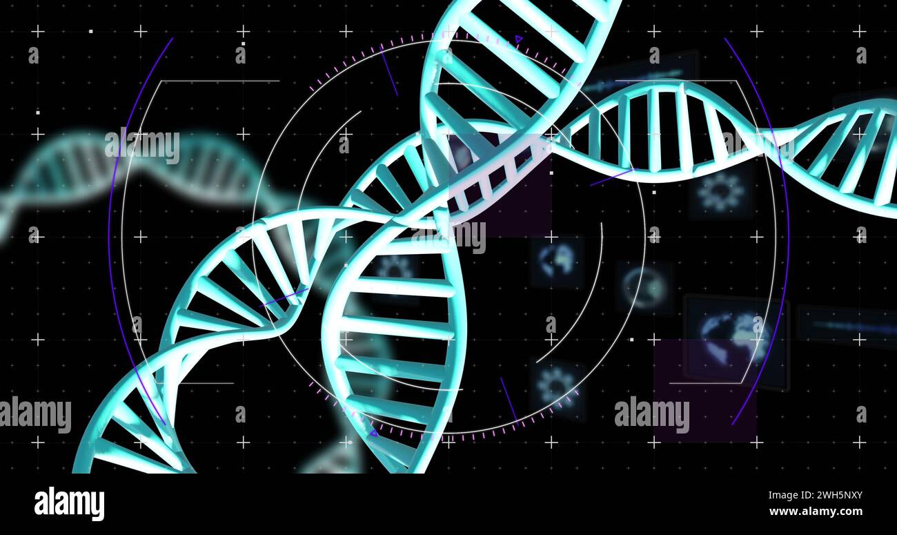 Image of dna strands spinning with data processing over black background Stock Photo - Alamy