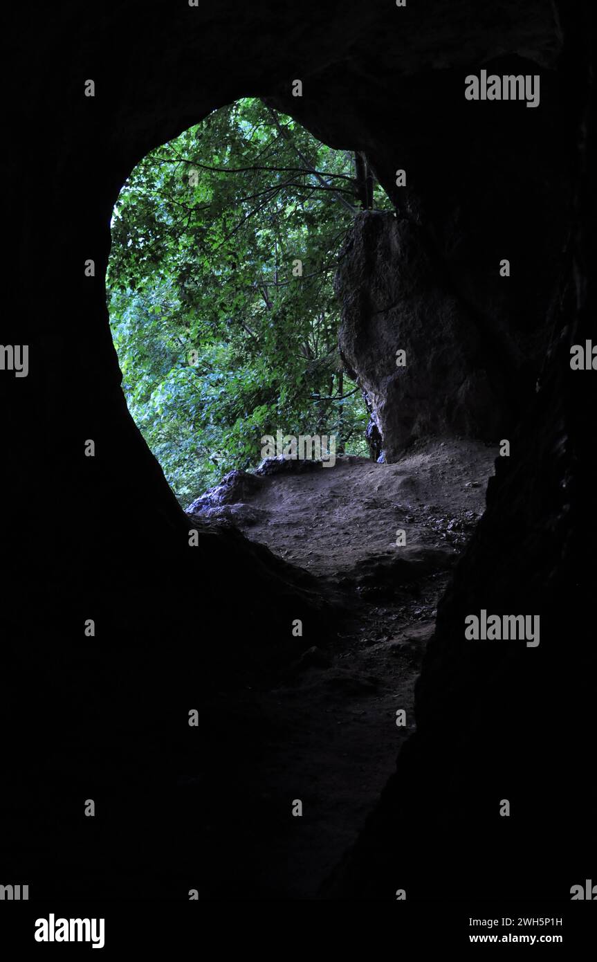 Hidden remote cave entrance in the forest from inside Stock Photo - Alamy