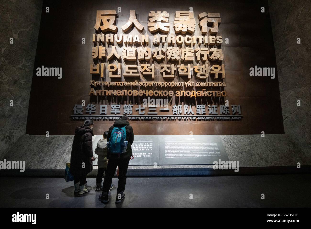 Harbin, China's Heilongjiang Province. 25th Jan, 2024. People visit the ...