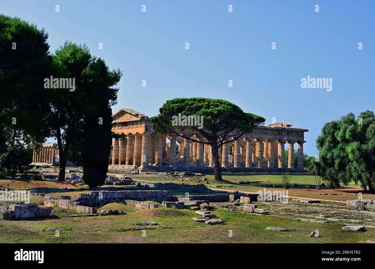 Greek doric style temple of Neptune Paestum is an ancient Greek city on ...