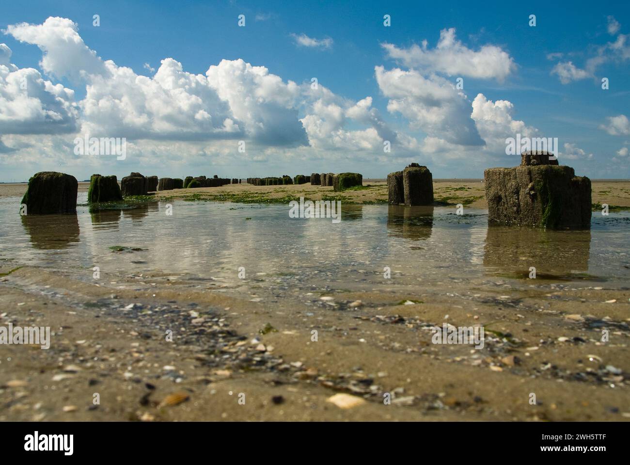 Ostfriessiche insel hi-res stock photography and images - Alamy