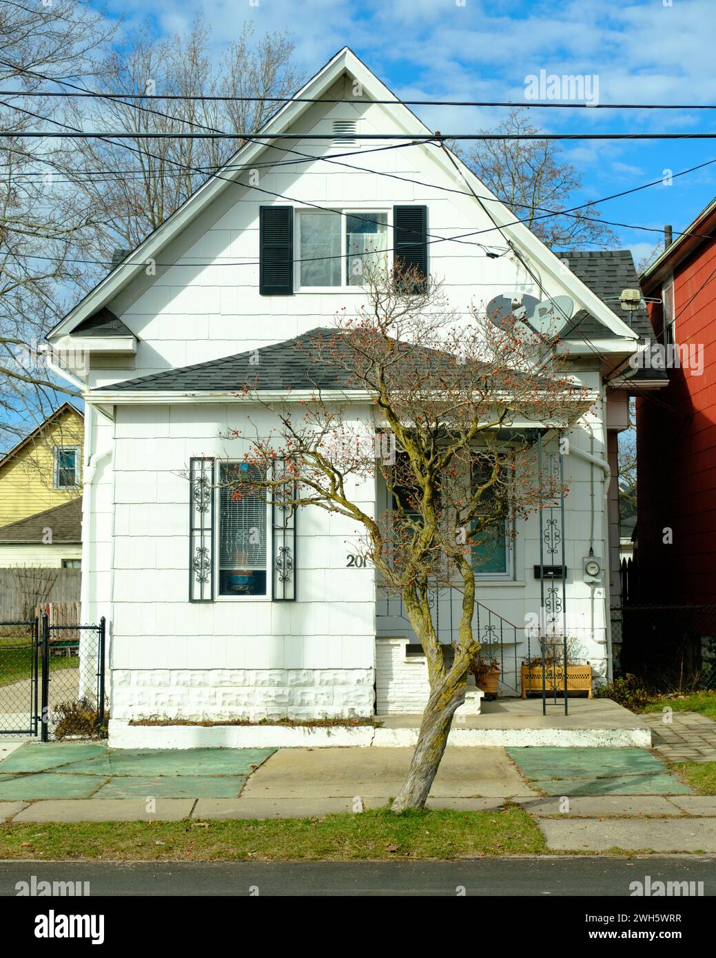 House buffalo hi-res stock photography and images - Alamy