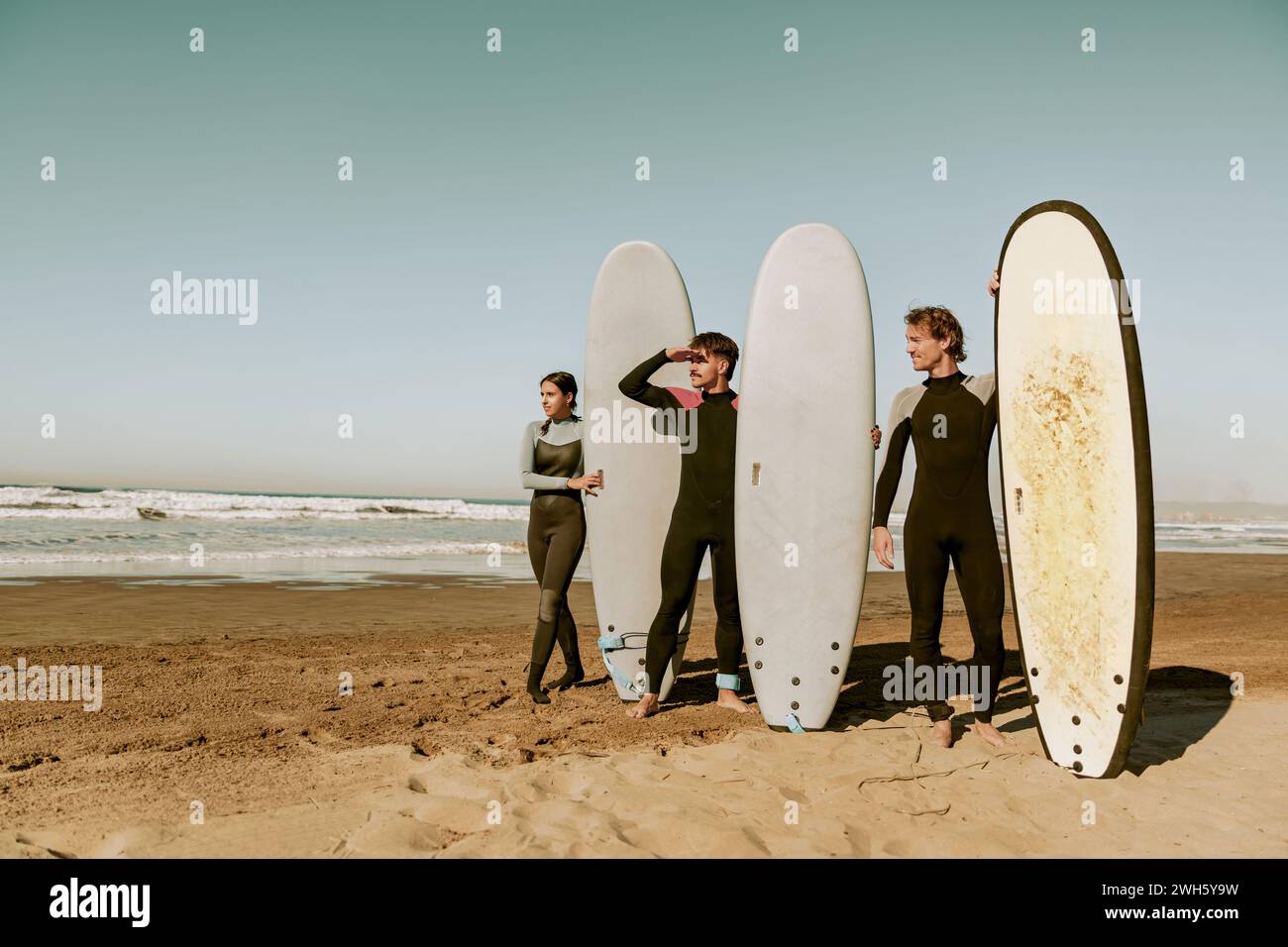 Group of friends surfers in wetsuits standing with surfboards and looks ...