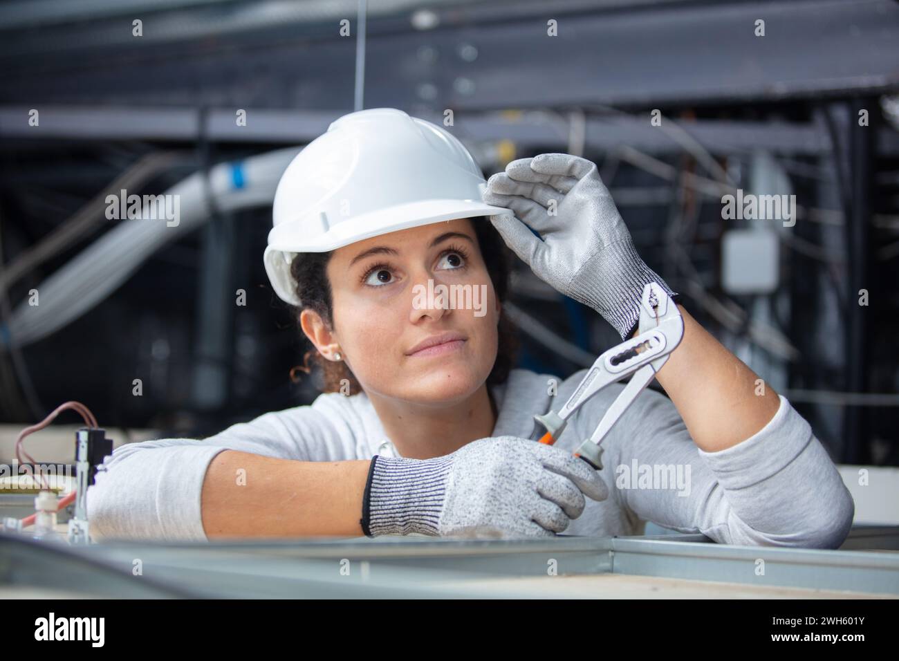 female builder with construction tools Stock Photo - Alamy