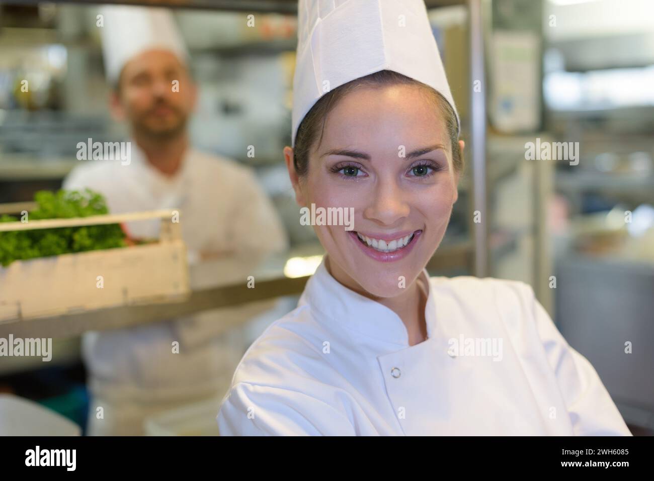 attractive female chef working in kitchen Stock Photo - Alamy