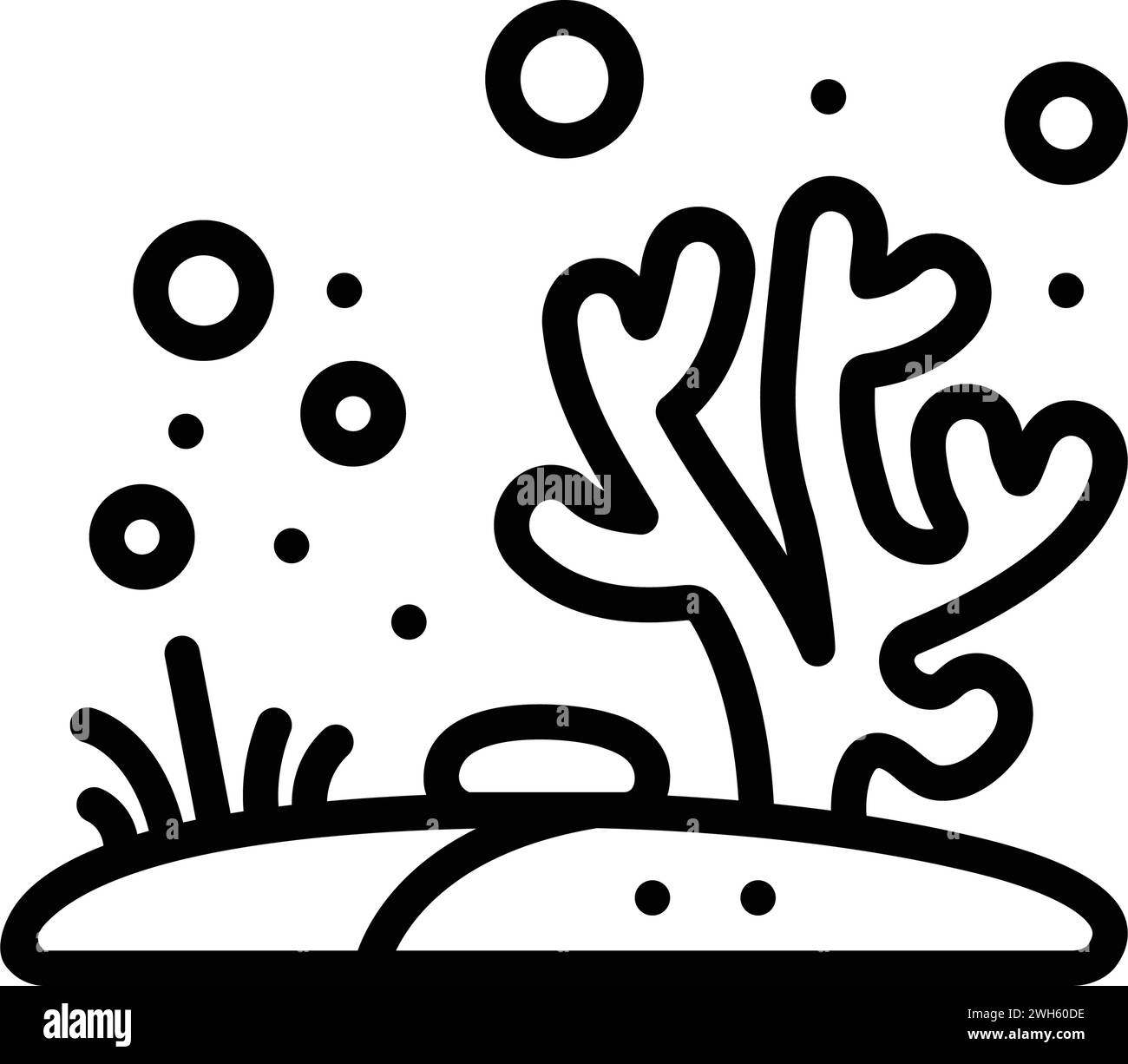 Coral reef biodiversity Stock Vector Images - Alamy