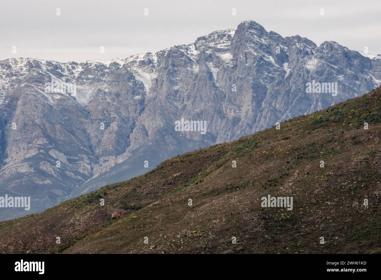 The snow-capped peaks of Breede Valley's distant mountains on a chilly ...