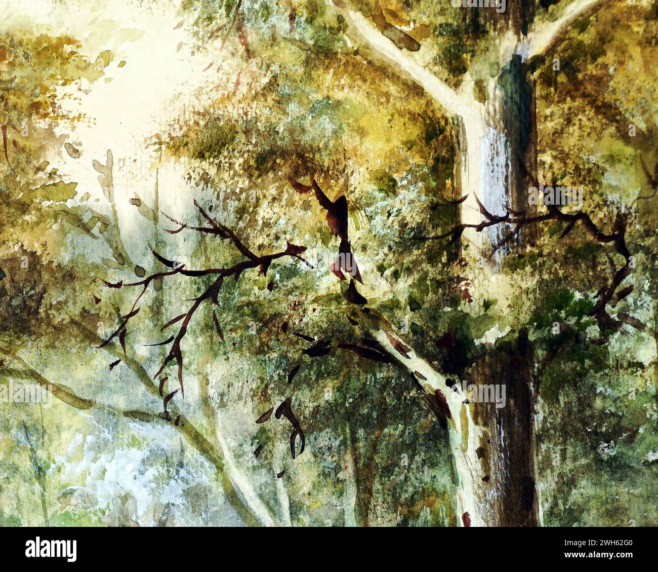 Watercolor landscape with tree hi-res stock photography and images - Alamy