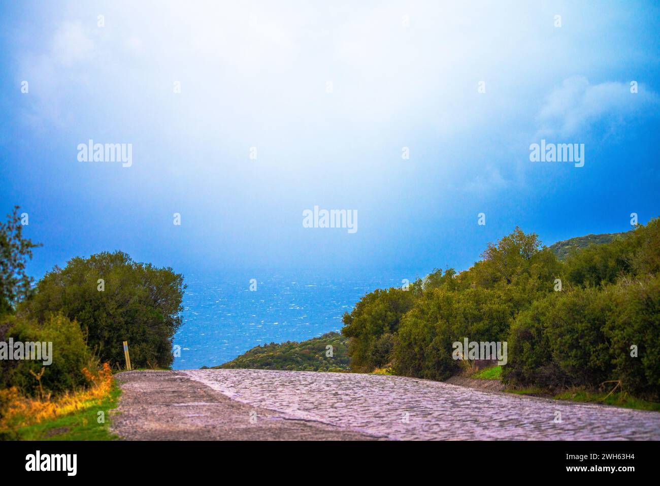 A coastal journey through time: An ancient road winding through bushes ...