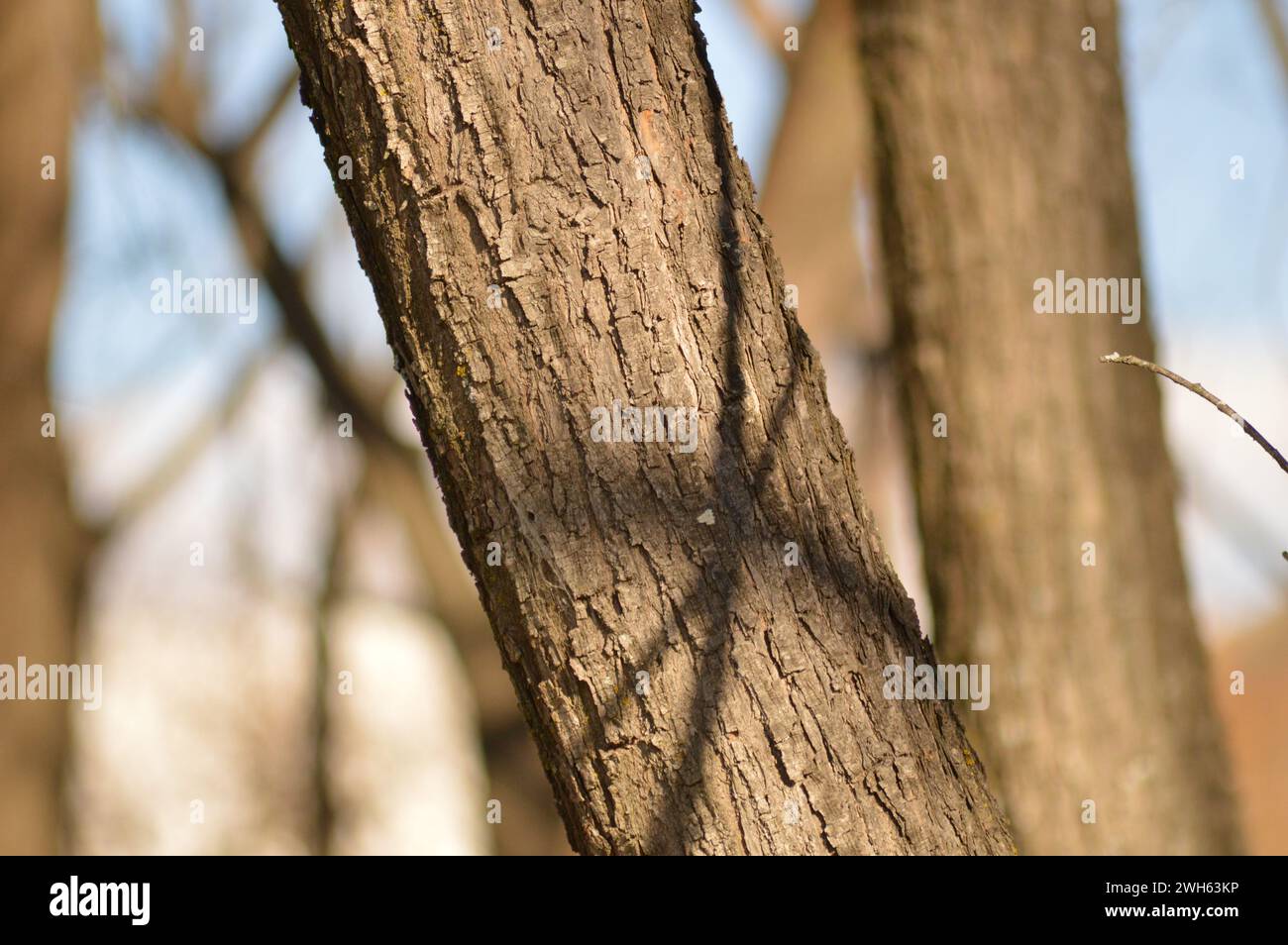 Timaru new zealand hi-res stock photography and images - Alamy