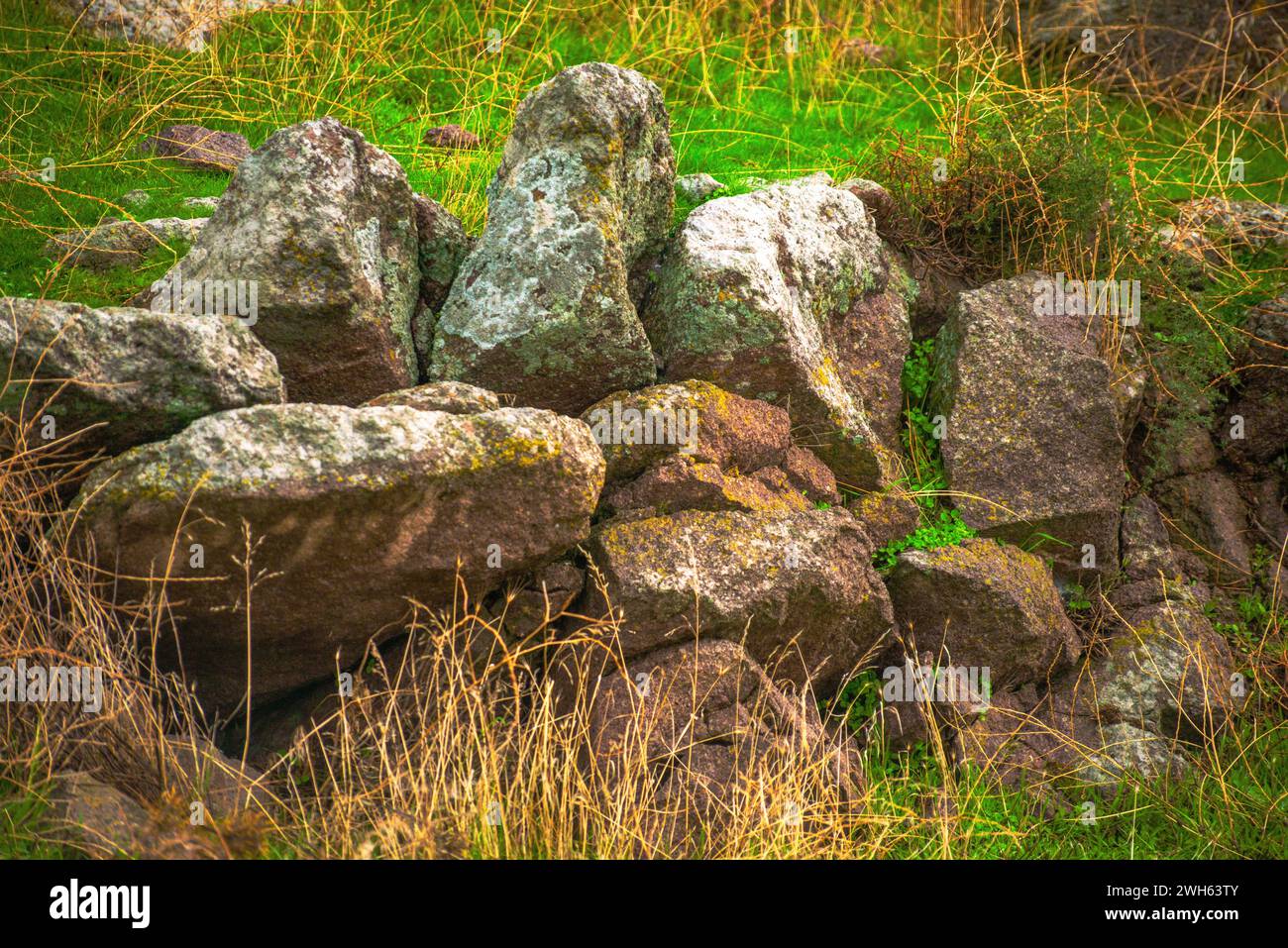 Serenebushes hi-res stock photography and images - Alamy