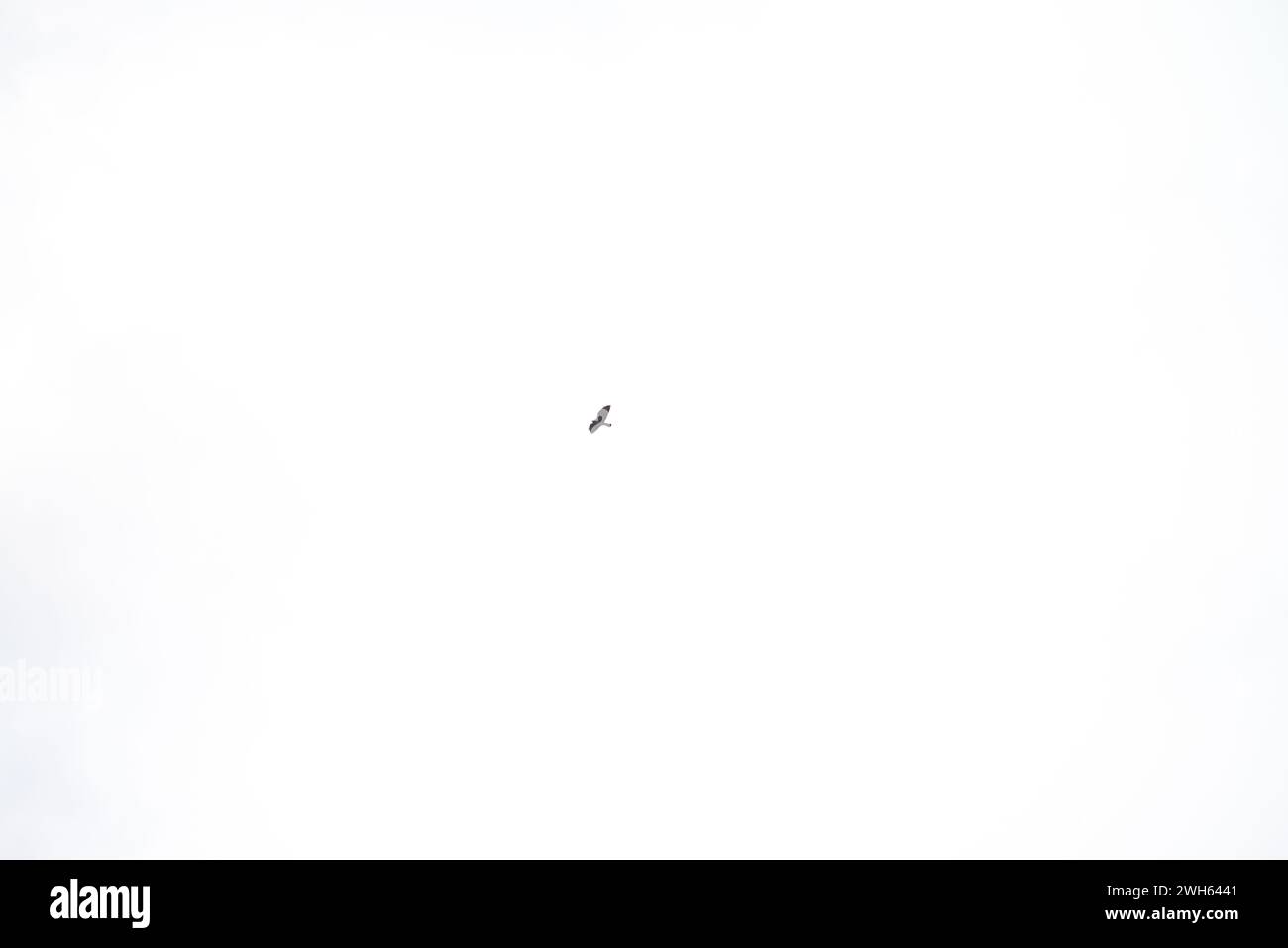 Closeupruralscene hi-res stock photography and images - Alamy