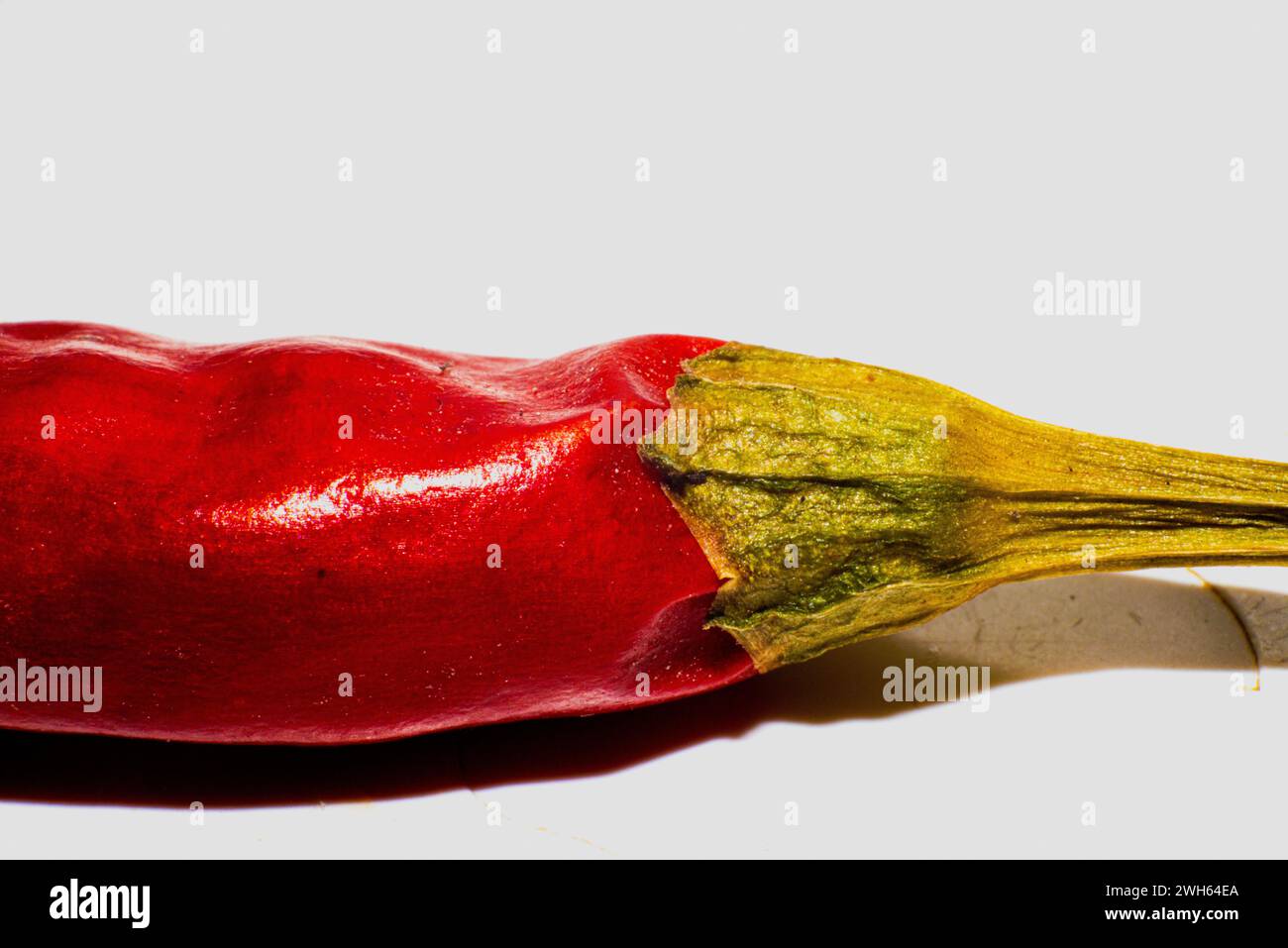 Closeupfoodphoto hi-res stock photography and images - Alamy
