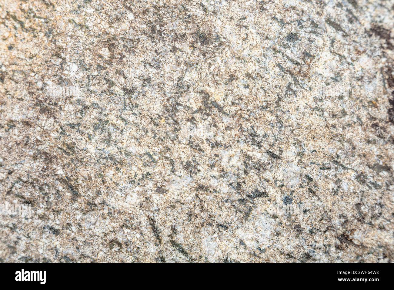 Natural texture in nature with organic stone surface and patterned ...