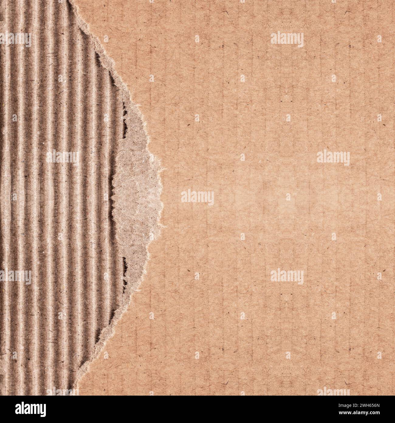 Ripped cardboard box background with torn edges Stock Photo - Alamy